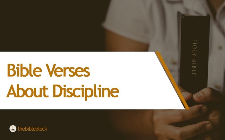 23 Bible Verses About Discipline – Biblical Wisdom on Correcting and ...