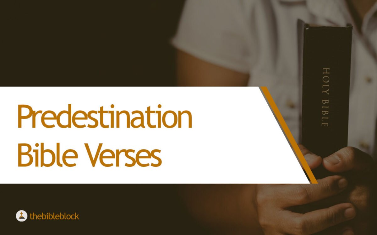 23 Predestination Bible Verses – Understanding God’s Plan Through ...