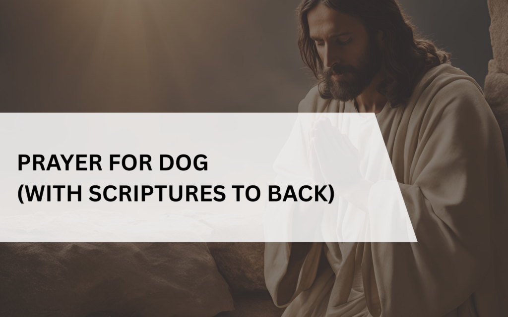 23 Prayer For Dog with Scriptures to Back – thebibleblock.com