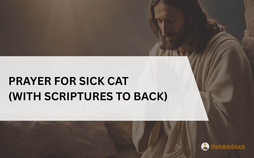 23 Prayer For Sick Cat with Scriptures to Back - thebibleblock.com