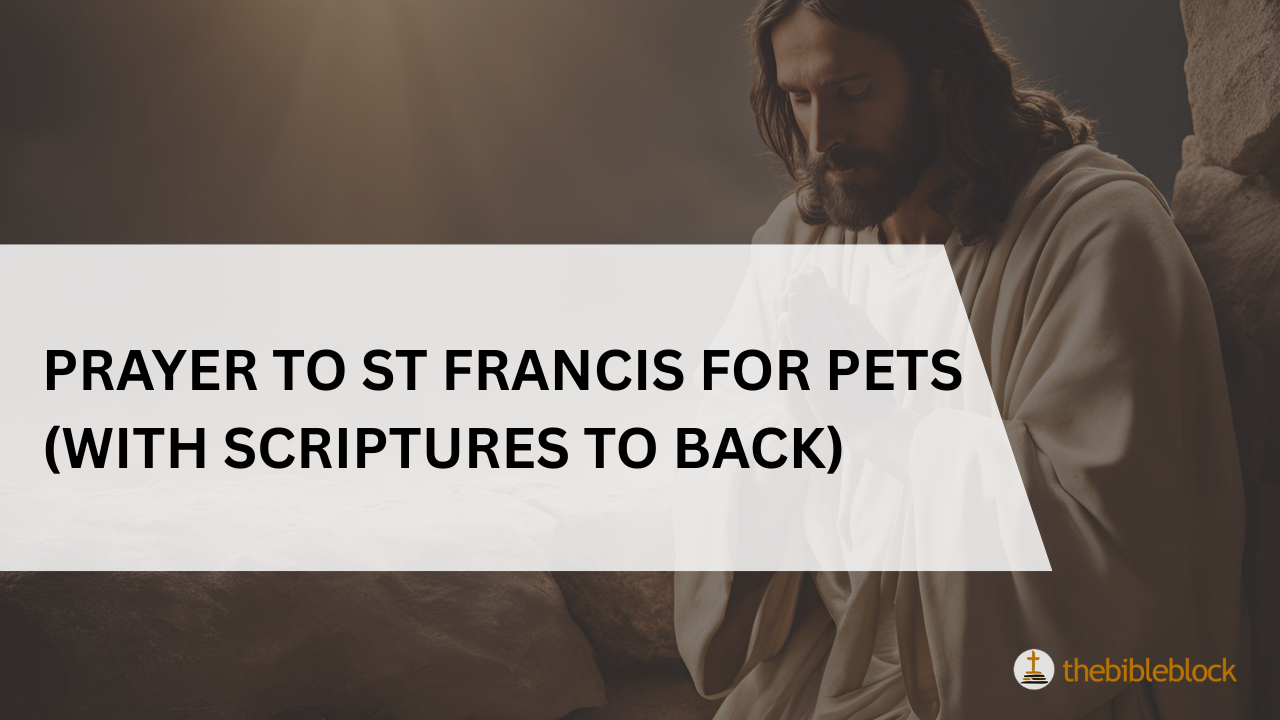 23 Prayer To St Francis For Pets with Scriptures to Back - thebibleblock.com