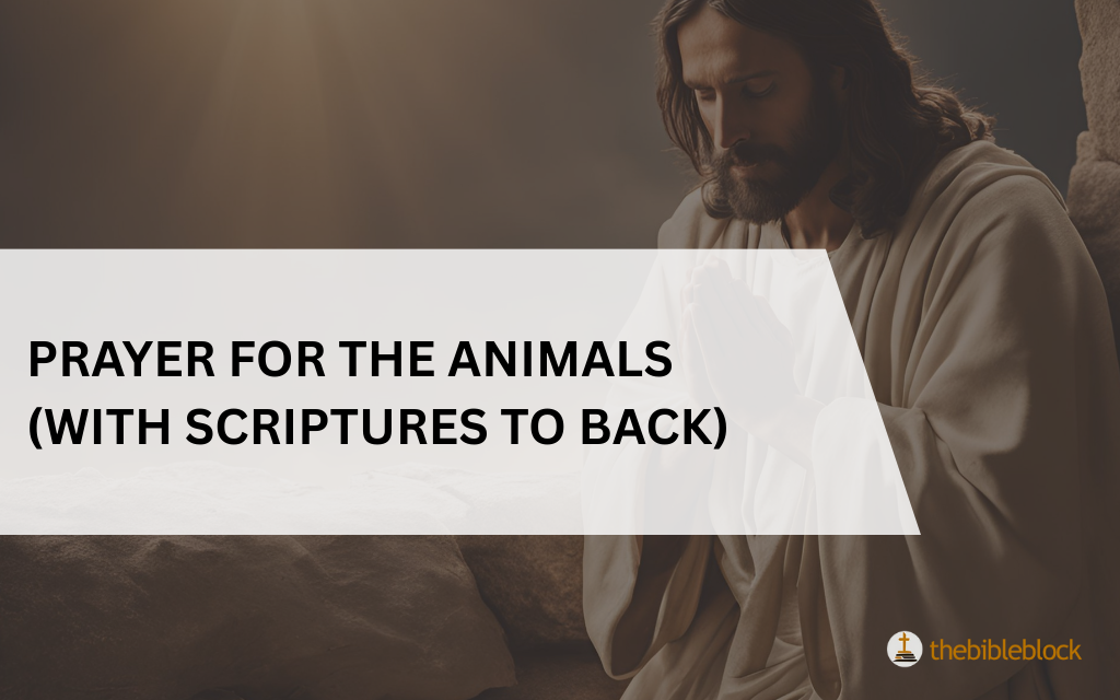23 Prayer For The Animals with Scriptures to Back - thebibleblock.com