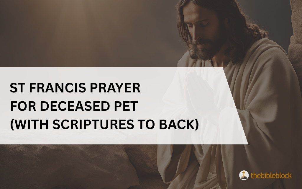 23 St Francis Prayer For Deceased Pet with Scriptures to Back ...